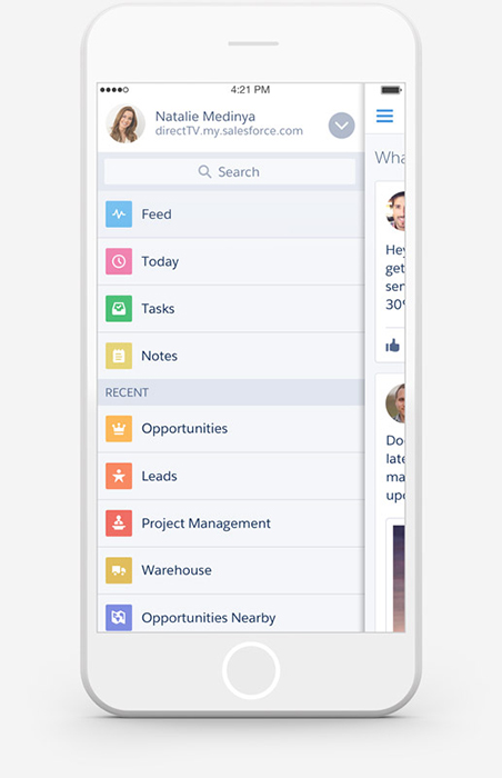 Learn About Salesforce1 Features And App Functionality